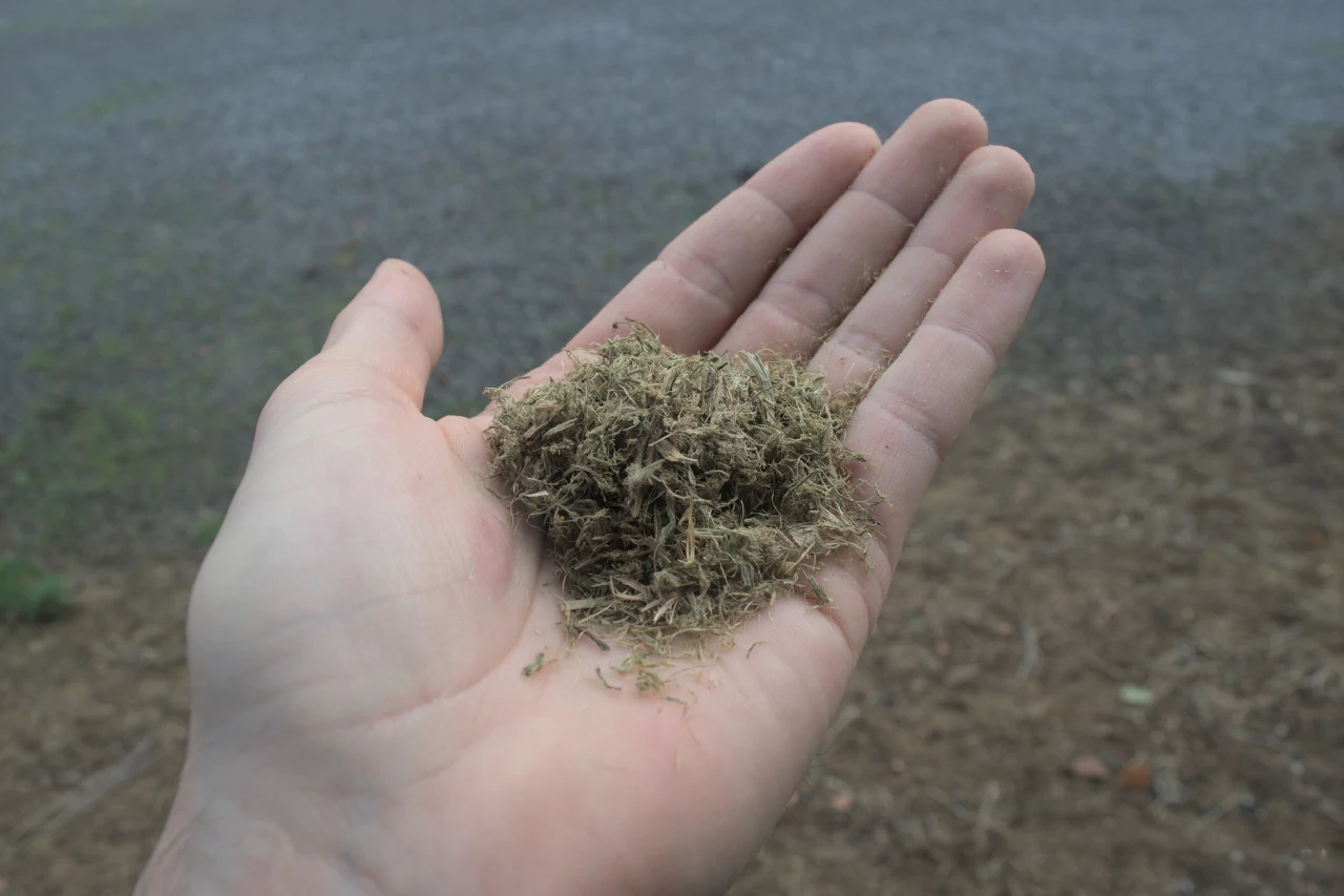 Breaking Ground with New Grass and Jute-Based Insulation | Ecological ...