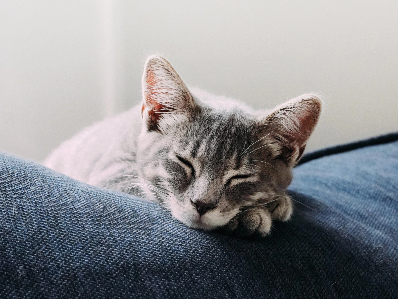 Eco-Friendly Building Products for Energy Efficient Homes | Ecological ...