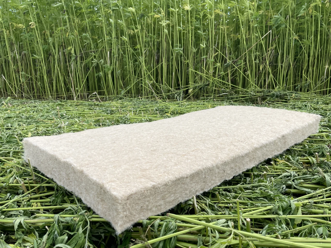 How to insulate your loft with natural insulations | Ecological ...